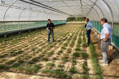 Climate Change: Grass For Tomorrow | Barenbrug